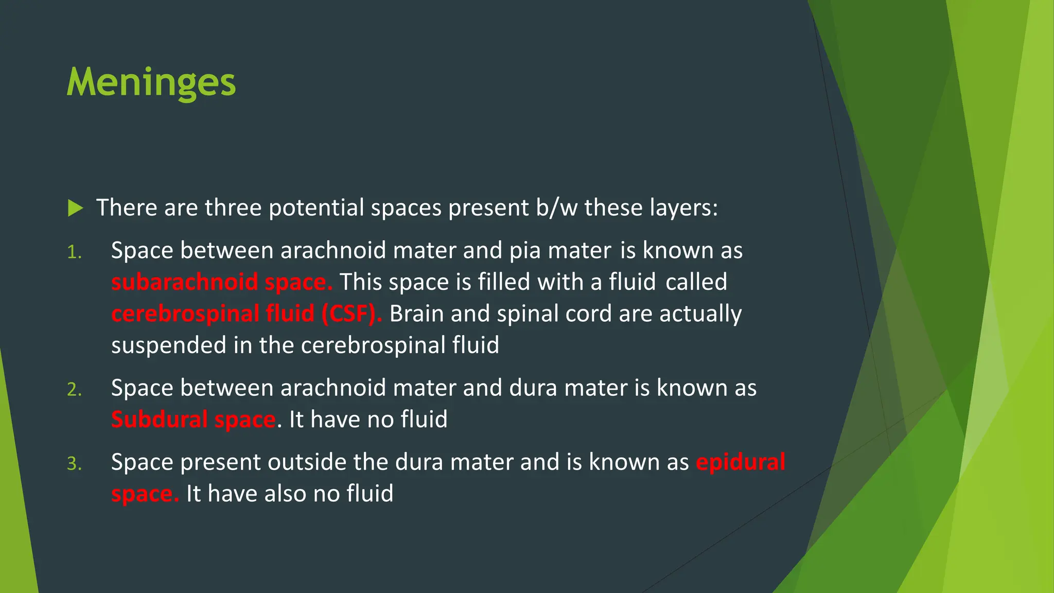 1.CNS.central nervous system slideshare.pptx