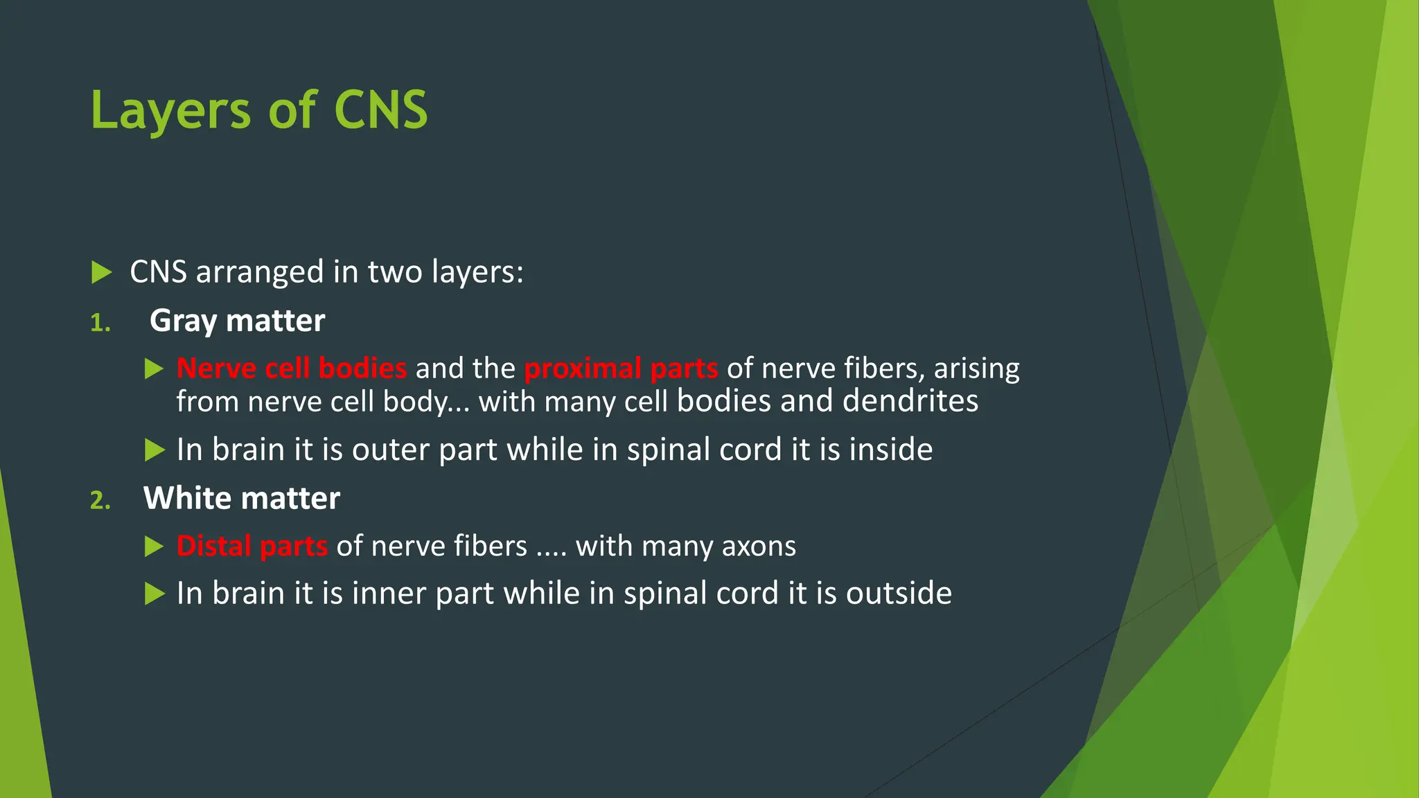 1.CNS.central nervous system slideshare.pptx
