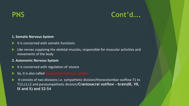 1.CNS.central nervous system slideshare.pptx