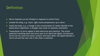 1.CNS.central nervous system slideshare.pptx