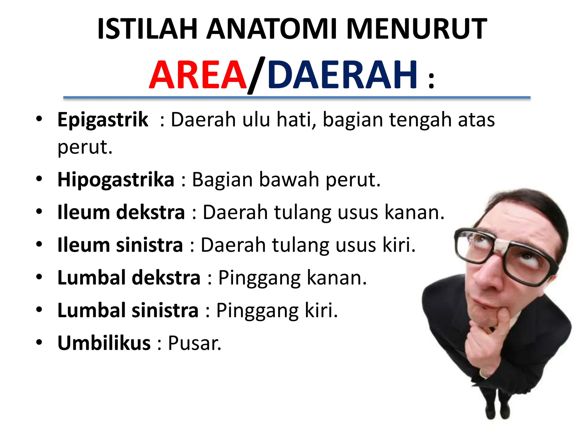 1. Dasar-dasar Anatomi fisiologi manusia.pptx