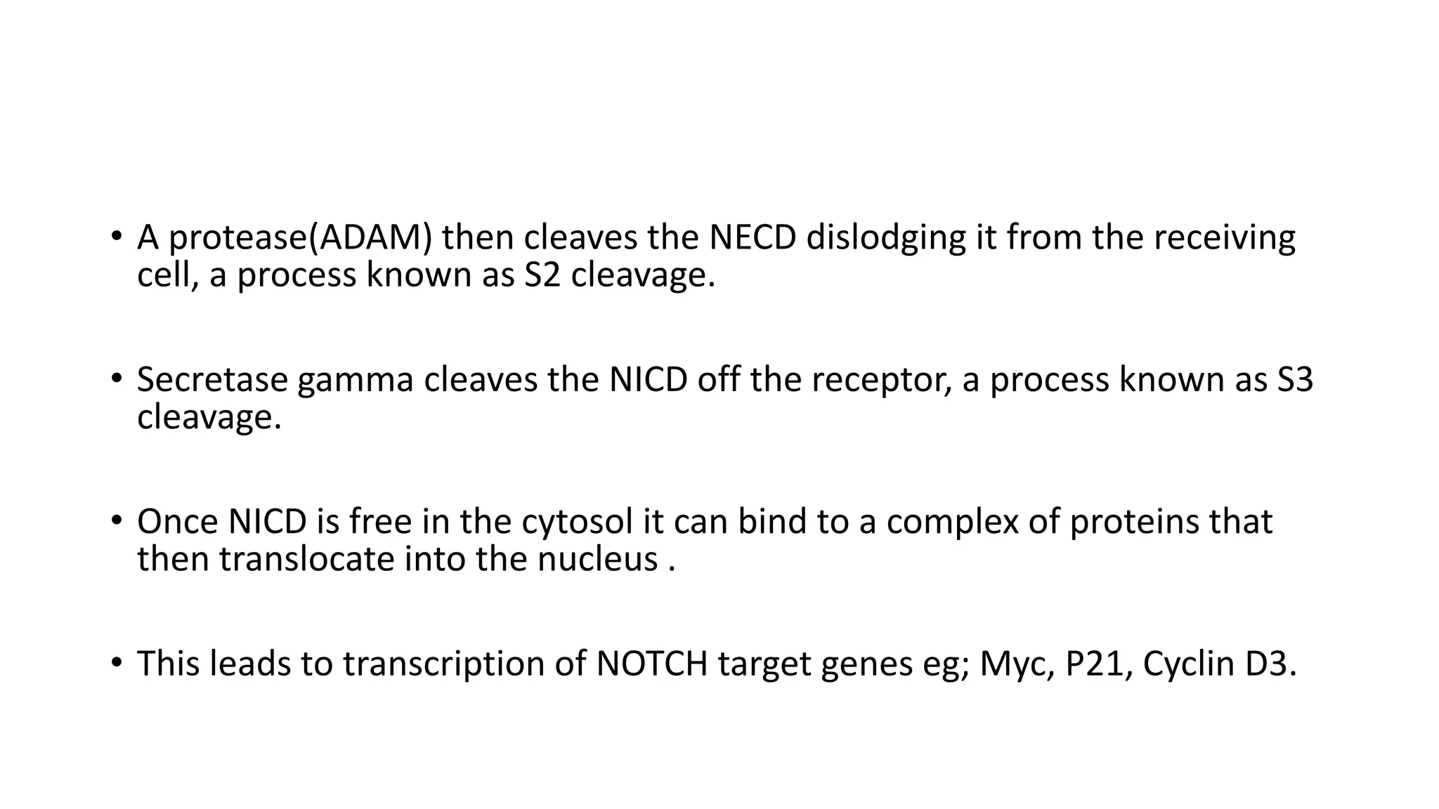 1.2.6_NOTCH_signaling_pathway._corrected[1].pptx