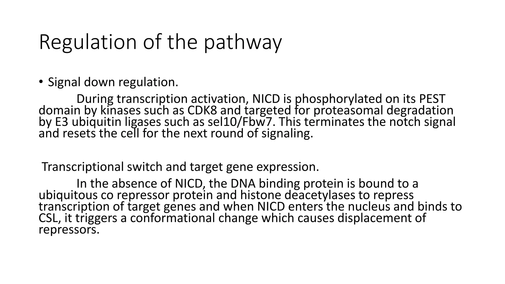 1.2.6_NOTCH_signaling_pathway._corrected[1].pptx