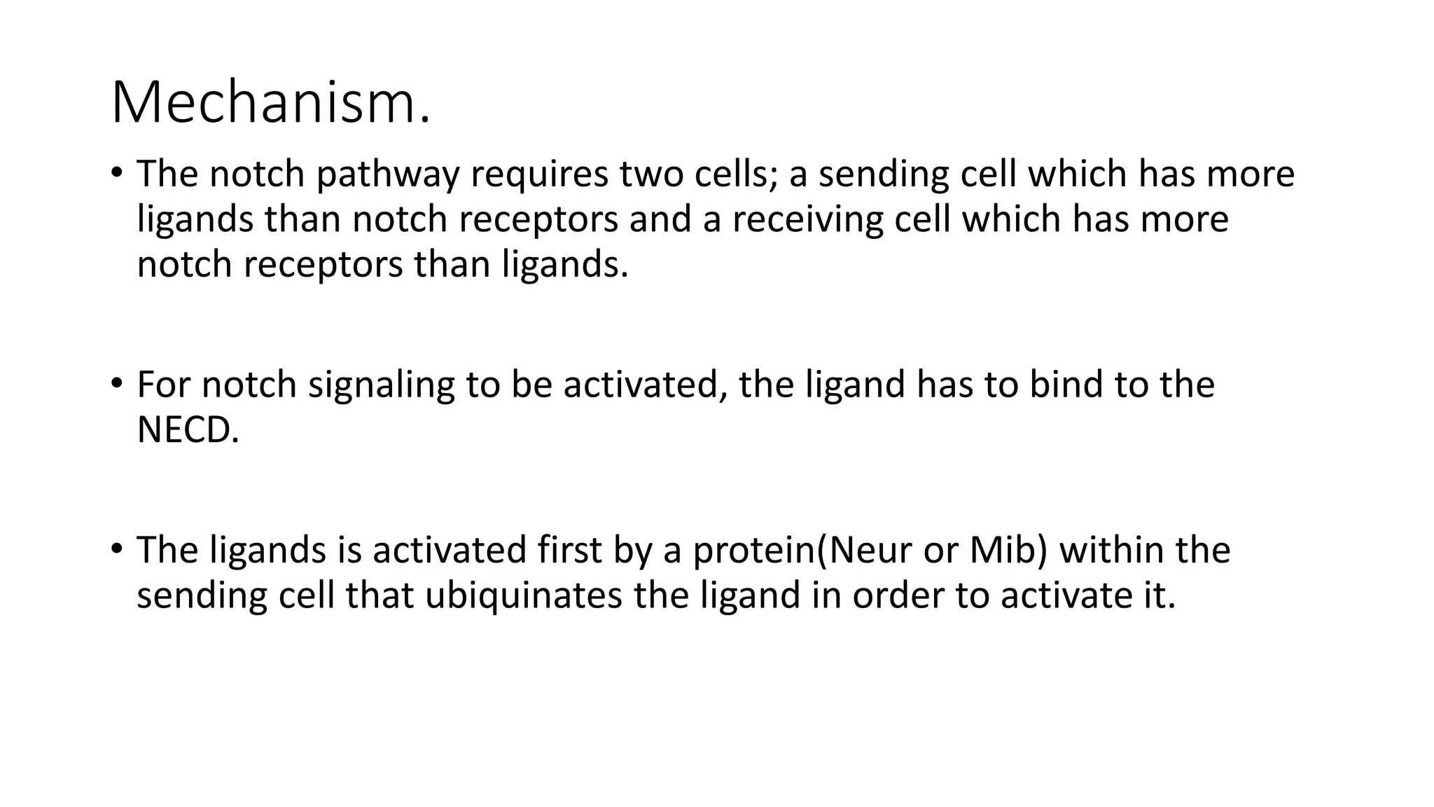 1.2.6_NOTCH_signaling_pathway._corrected[1].pptx
