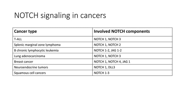 126notchsignalingpathwaycorrected 1 Pptx