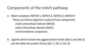 1.2.6_NOTCH_signaling_pathway._corrected[1].pptx