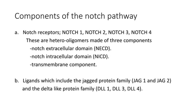 1.2.6_NOTCH_signaling_pathway._corrected[1].pptx
