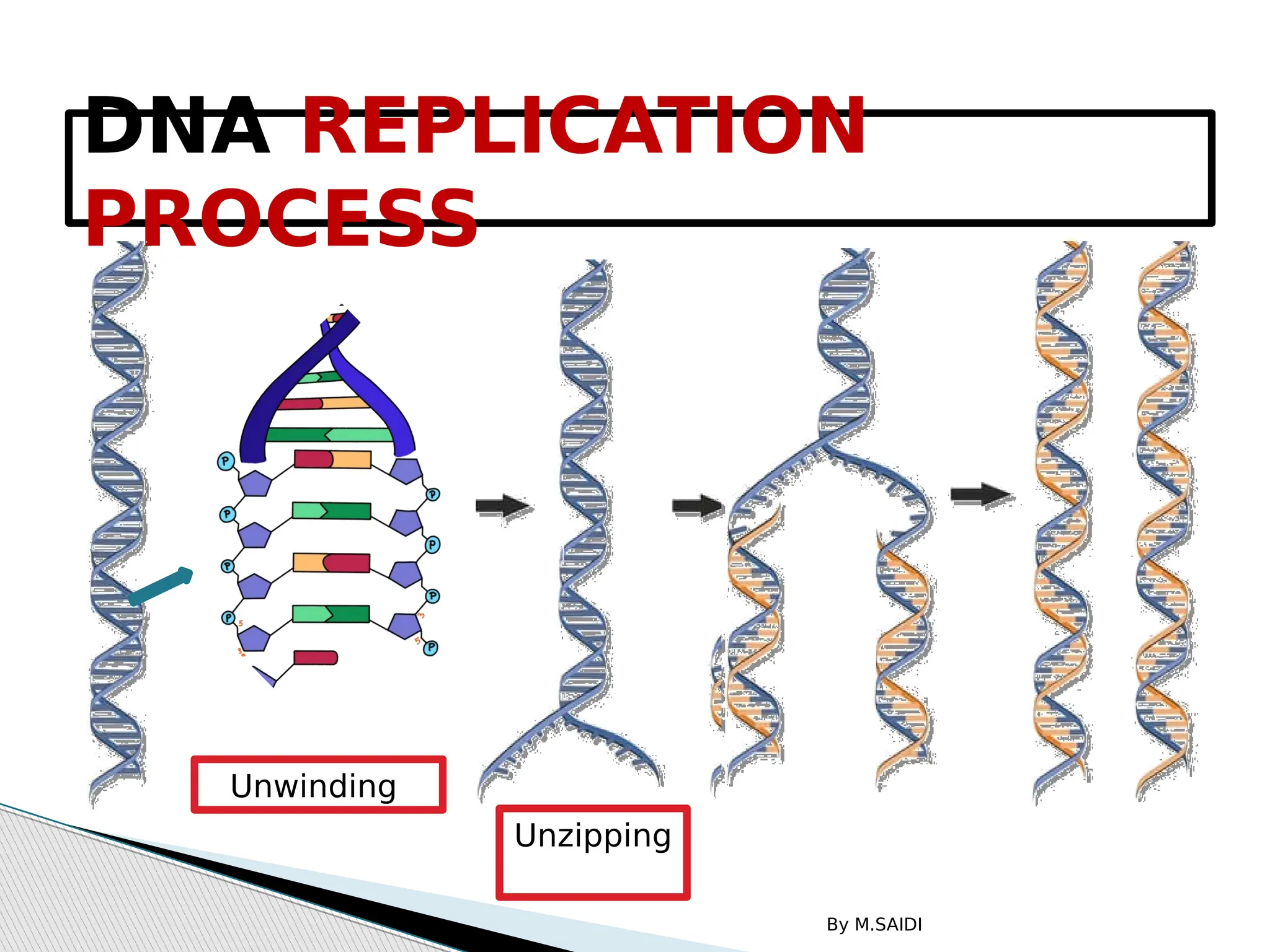 1. DNA CODE OF LIFE. .pdf