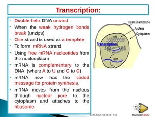 1. DNA CODE OF LIFE. .pdf