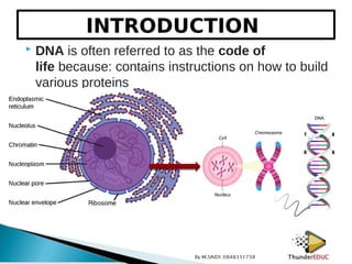 1. DNA CODE OF LIFE. .pdf