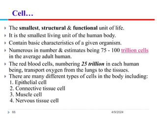 1.Introduction to human physiology-1 (1).pptx