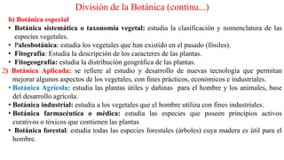 1. Introducción a la botanica, clasificacion | PPTX
