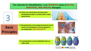 1. Theoretical Foundations.pptx pediatrics | PPTX