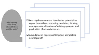 1. Theoretical Foundations.pptx pediatrics | PPTX