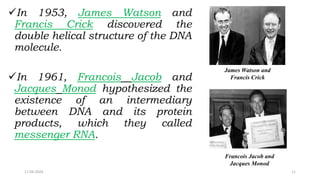 1. Introduction to Molecular Biology.pptx