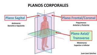 1.Canal- Anatomia Ejes y Planos Corporales..pptx