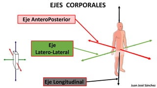 1.Canal- Anatomia Ejes y Planos Corporales..pptx