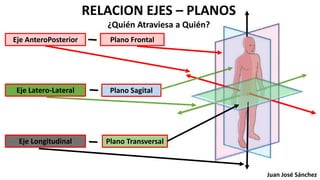1.Canal- Anatomia Ejes y Planos Corporales..pptx