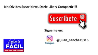 1.Canal- Anatomia Ejes y Planos Corporales..pptx