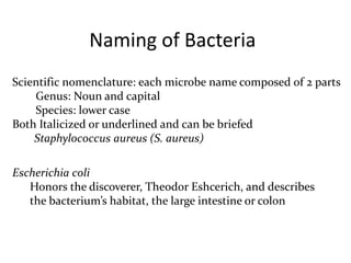 1.-General-Microbiology_Introduction_Final_PPT-2019.pdf