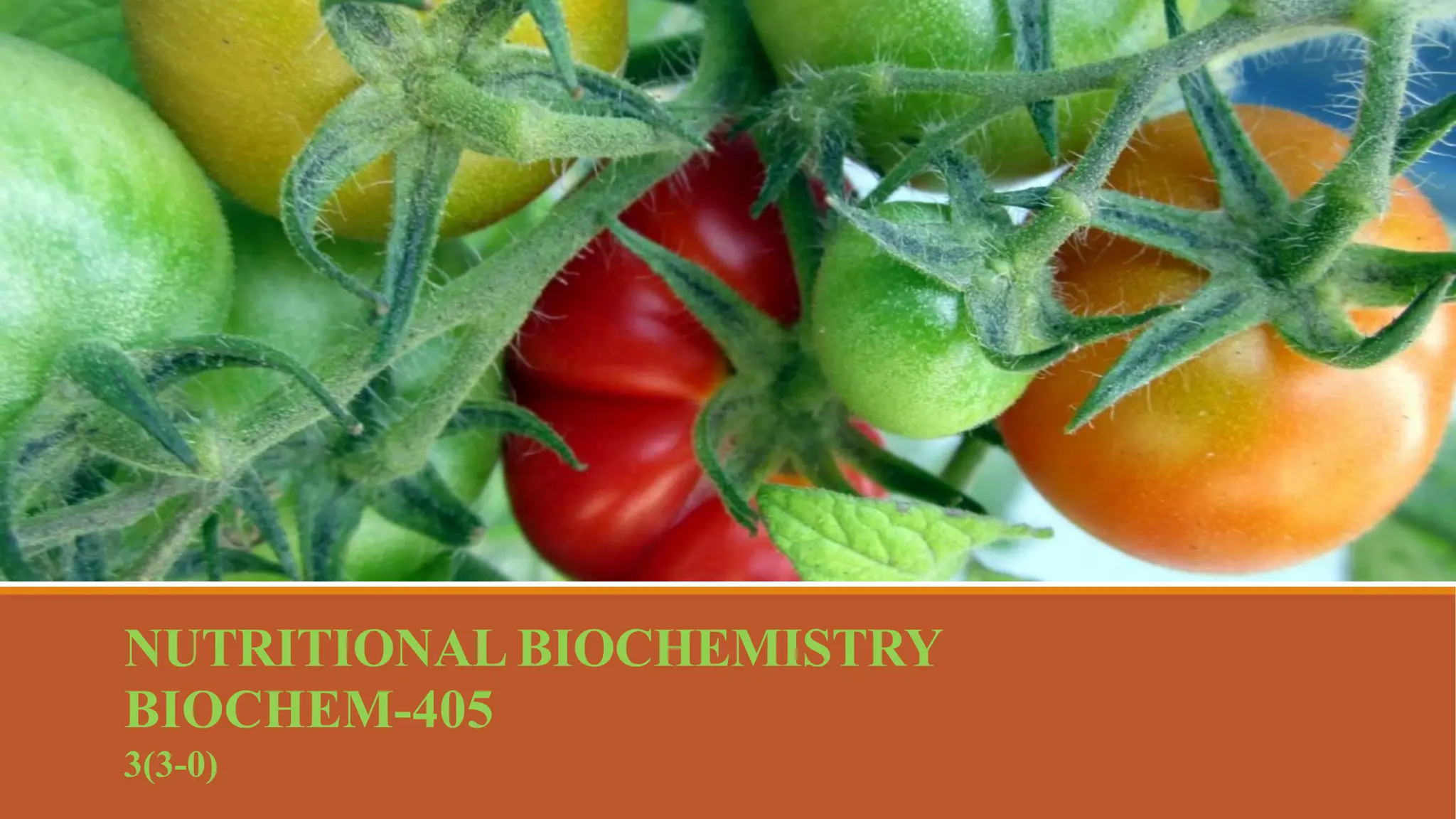 1. Intro of Nutritional Biochemistry.pptx