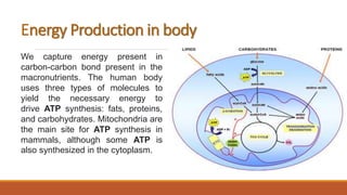 1. Intro of Nutritional Biochemistry.pptx