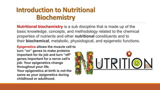 1. Intro of Nutritional Biochemistry.pptx