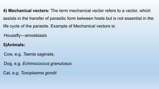 fundamentals of clinical chemistry and molecular diagnostics.pptx