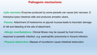 fundamentals of clinical chemistry and molecular diagnostics.pptx
