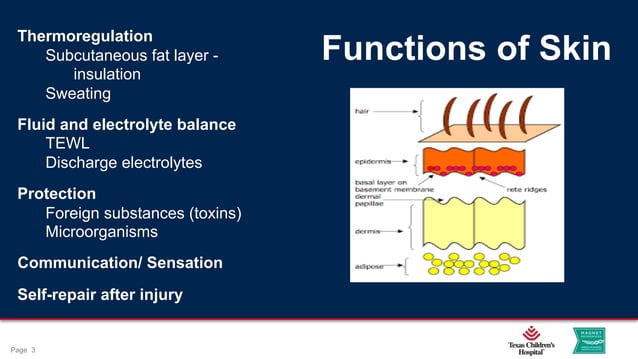 1. Challenges in Neonatal Skin and Wound Care.pdf