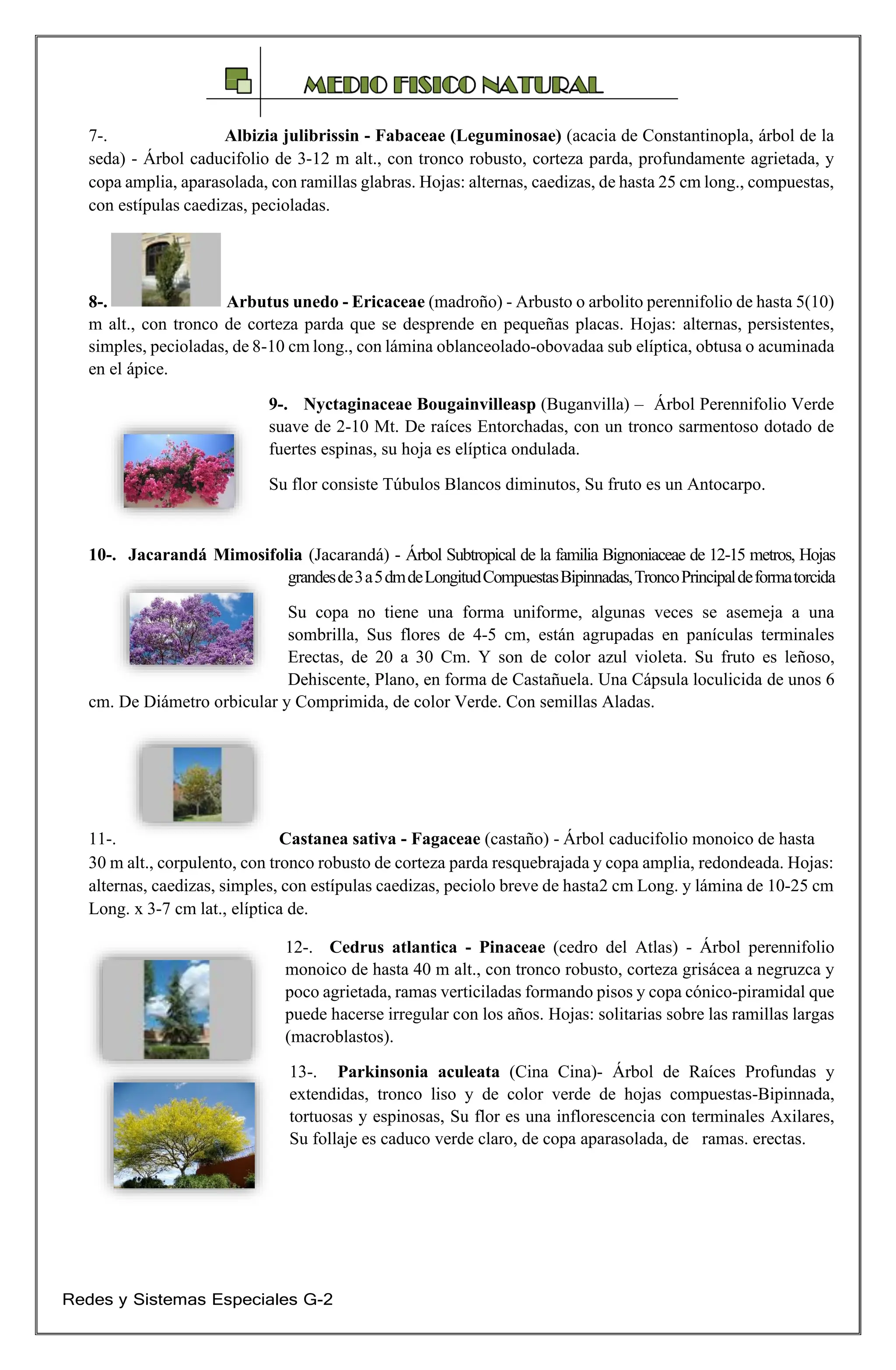 1. Medio Físico Natural entrando con el medio ambiente .pdf