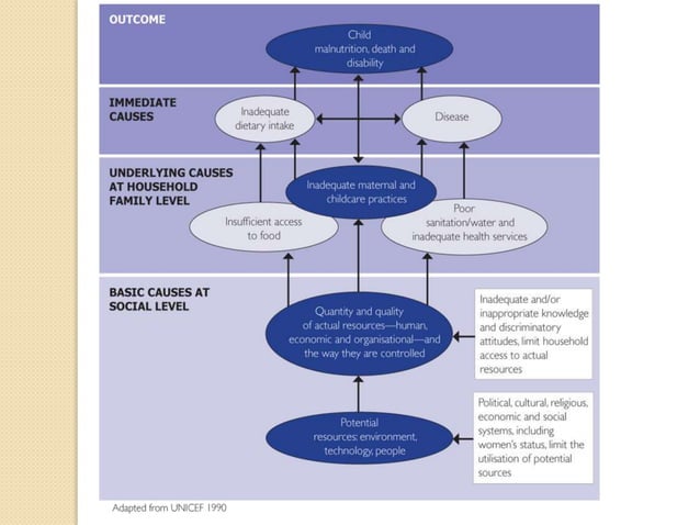 1.Overview Malnutrition in english .pptx