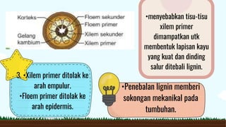 jenis Tumbuhan yang ada di dunia ini sila tengok | PPTX