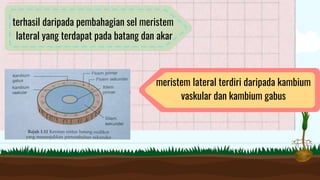 jenis Tumbuhan yang ada di dunia ini sila tengok | PPT