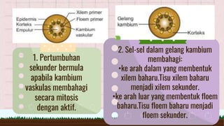 jenis Tumbuhan yang ada di dunia ini sila tengok | PPTX