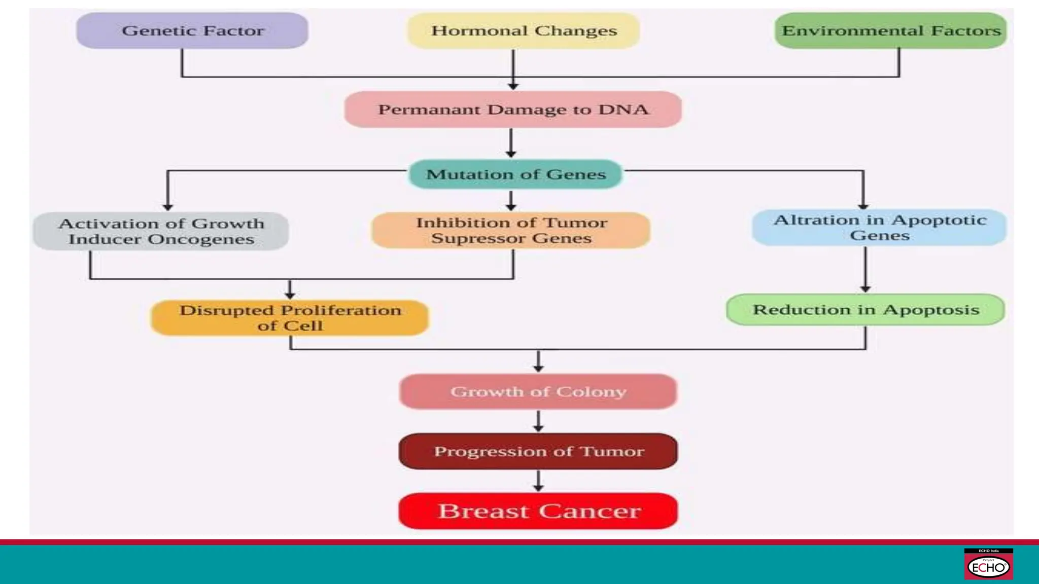 Breast Cancer- introduction, patho,signs-sympt.pptx