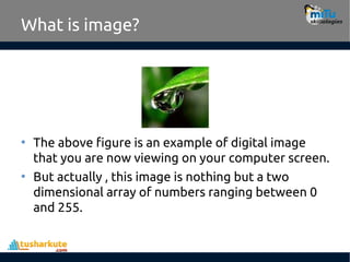 1.-Introduction-to-Digital-Image-Processing.pdf | Photo Editing ...