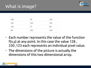 1.-Introduction-to-Digital-Image-Processing.pdf | Photo Editing ...
