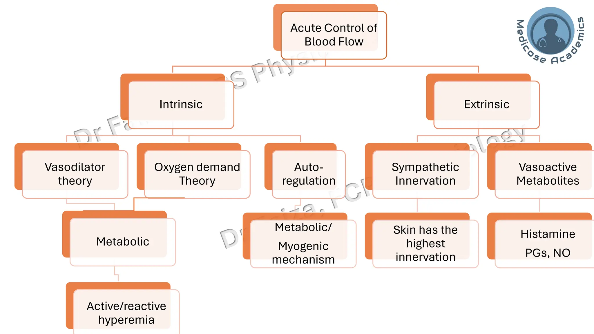 Control of Local Blood Flow: acute and chronic | PDF