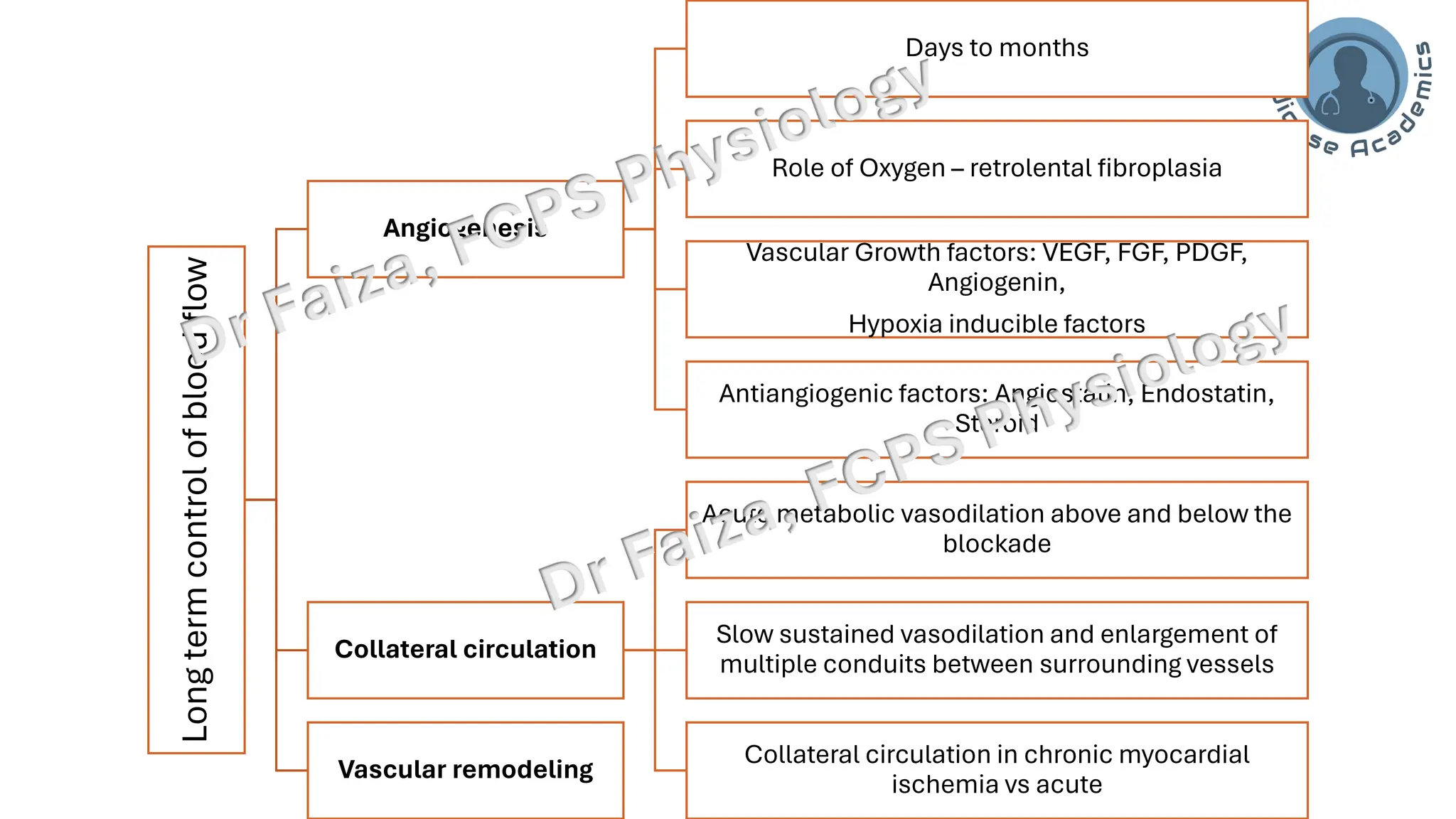 Control of Local Blood Flow: acute and chronic | PDF