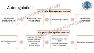 Control of Local Blood Flow: acute and chronic | PPT