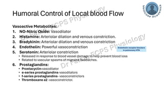 Control of Local Blood Flow: acute and chronic | PPT