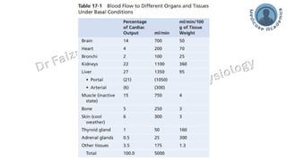 Control of Local Blood Flow: acute and chronic | PPT