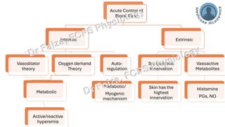 Control of Local Blood Flow: acute and chronic | PPT