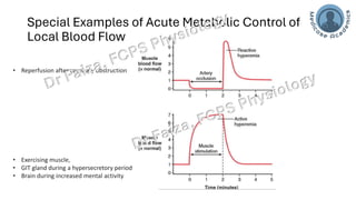 Control of Local Blood Flow: acute and chronic | PPT