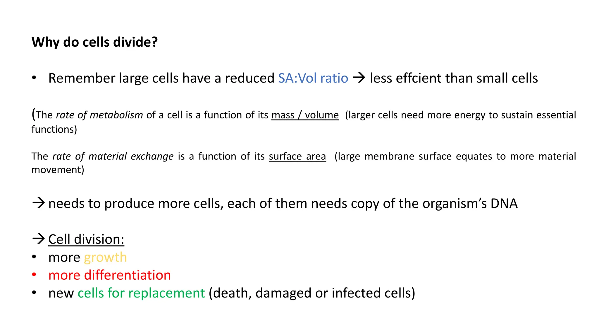 1.6 Cell Division biology presentation.pptx