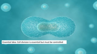 1.6 Cell Division biology presentation.pptx
