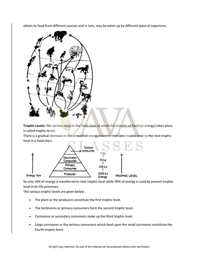 Our Environment Class 10 Science Notes pdf | PDF
