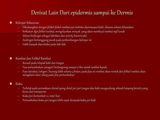 1.-Struktur-dan-Fungsi-Sistem-Integumen.ppt