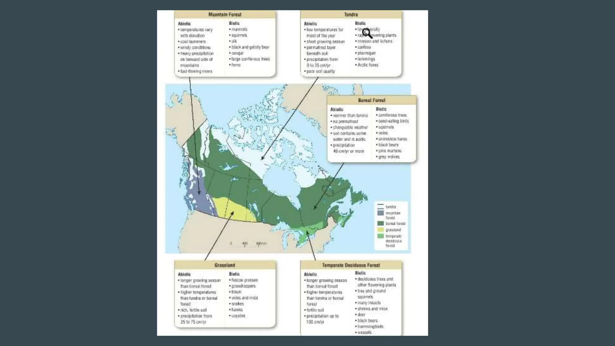 Biomes in Canada (how abiotic factors affect biomes).pptx